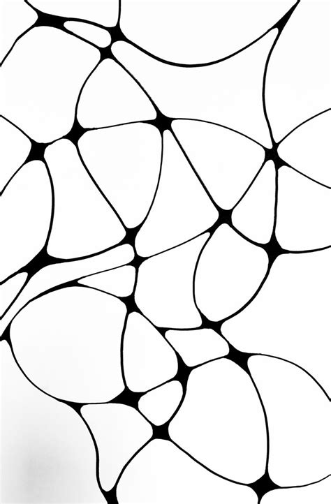 Organic Lines Design