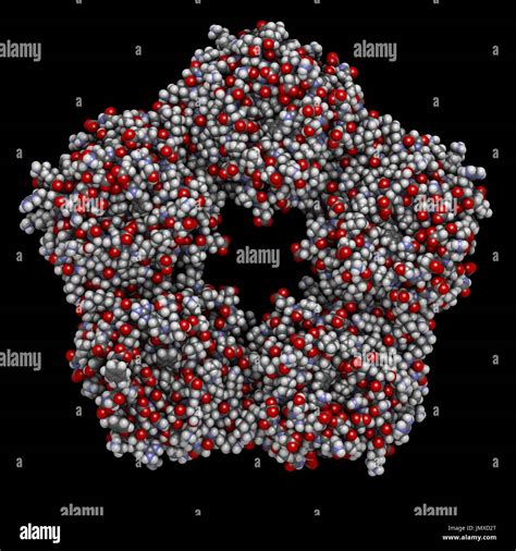 C Reactive Protein Crp Human Inflammation Biomarker Protein Infections And Inflammation