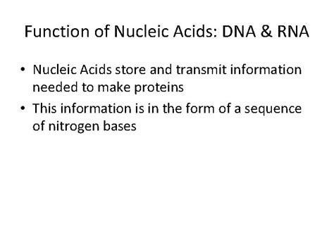 Molecular Biology Structure Function Of Nucleic Acids Replication