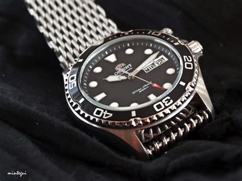 Mintegui Argazkiak Orient Mako Ray