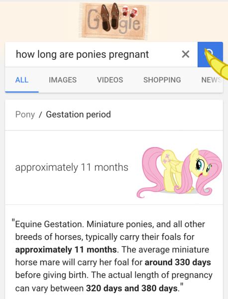 Mlp Fluttershy Pregnant