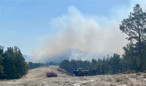 Φωτιά στον Έβρο Μεγάλη αναζωπύρωση στη Δαδιά Εικόνες And Βίντεο
