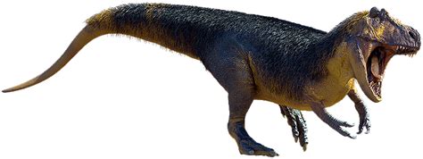 Theropods Australian Dinosaurs Broome Trackmakers Dinosaur Coast