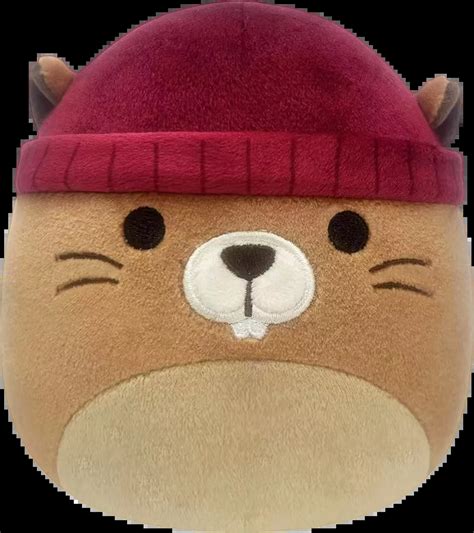 Chip Beanie The Beaver Squishmallows Harvest 2023 Squadapp