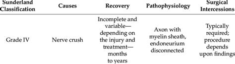 Sunderland Classification Of Peripheral Nerve Injuries 12 Download