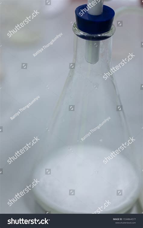 Analysis Microplastics Laboratory Microplastics Contaminants Marine