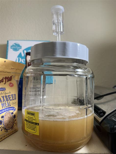 Beer Brewery Here Trying My Hand At Kvass Rfermentation