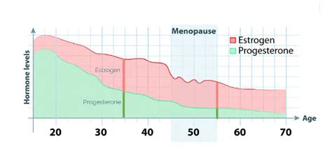 Estrogen Progesterone Graph File Estrogen Progesterone Testosterone
