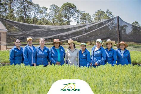 Apeam Reafirma Su Compromiso Con La Ruta De La Sostenibilidad