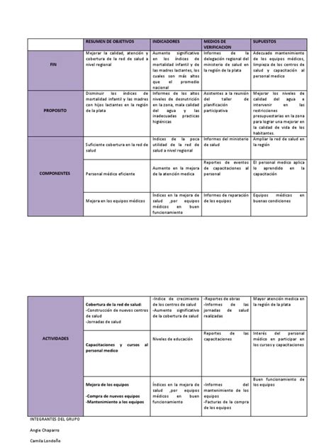 Matriz Del Marco Logico Caso La Plata Pdf Ciencia Y Matemática