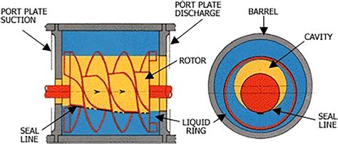 Detail Of Liquivac Liquid Ring Vacuum Pump Color Figure Can Be Viewed