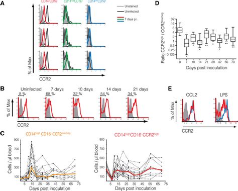 Ccr2 Is Down Regulated In Classical Monocytes During Acute Infection