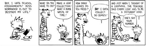 I Hate School Assignments Rcalvinandhobbes