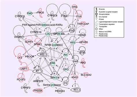 Warfarin Pathway Mapping Results Pathway Mapping Results Of Warfarin
