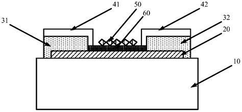 Carbon Nanotube Field Effect Transistor Sensor And Manufacturing Method Thereof Eureka Patsnap