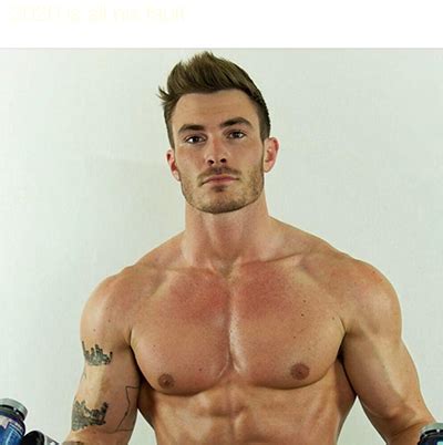 Is The Vshred Guy Legit [2026 Vince Sant Update] Livedontdiet