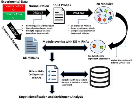Overall Work Flow Of The Analysis From Counts Normalization To Download Scientific Diagram