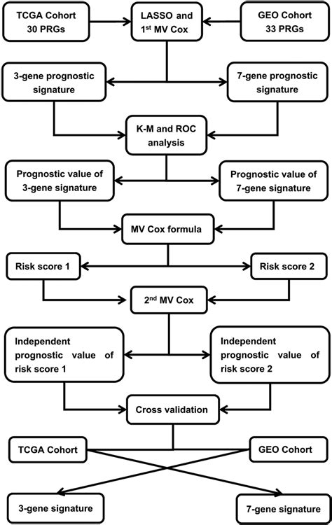 Flowchart Delineating Procedures For Development Of Prognostic