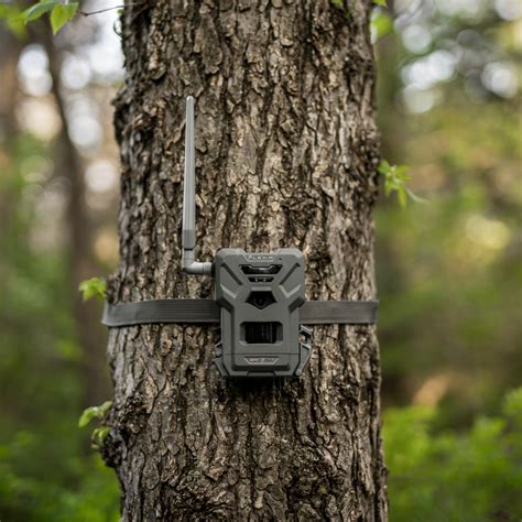 Spypoint Flex M Cellular Trail Camera