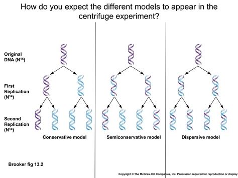 Dna Replicationppt