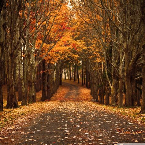 Autumn Nature Wallpapers Top Free Autumn Nature Backgrounds