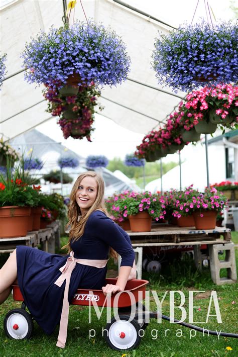 Mollybea Just Another Site