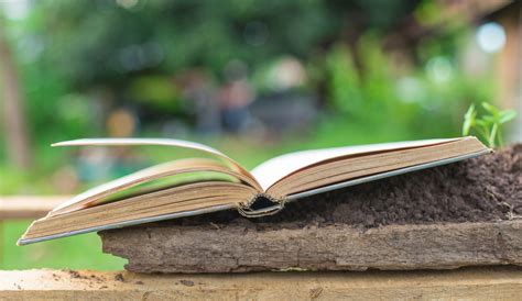 Sustainability Reporting The Esrs Reporting Standards Barentskrans