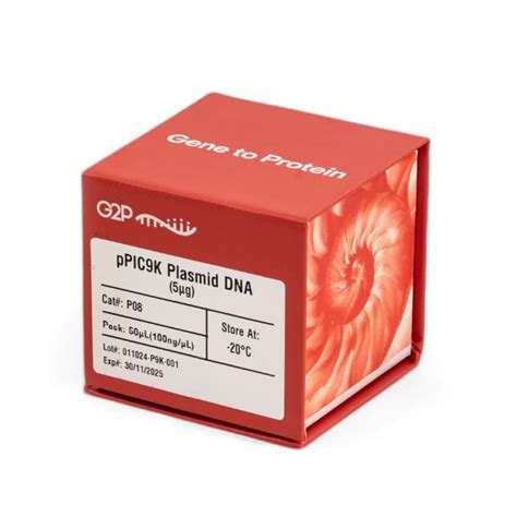 Pet17b His Plasmid Dna Cloning And Expression Products Genetoprotein