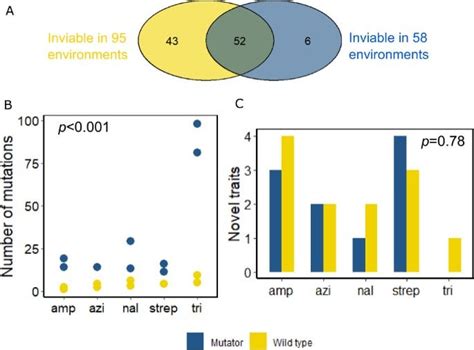 Environmental Complexity Is More Important Than Mutation In Driving The