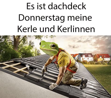 Lustiges Donnerstagsmeme Rspacefrogs