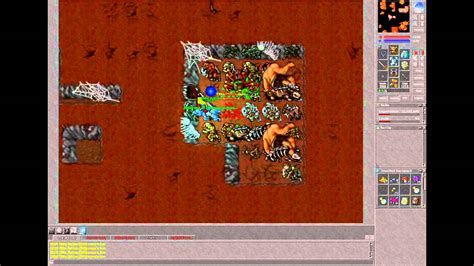 Tibia Boss The Old Widow [hd] Youtube