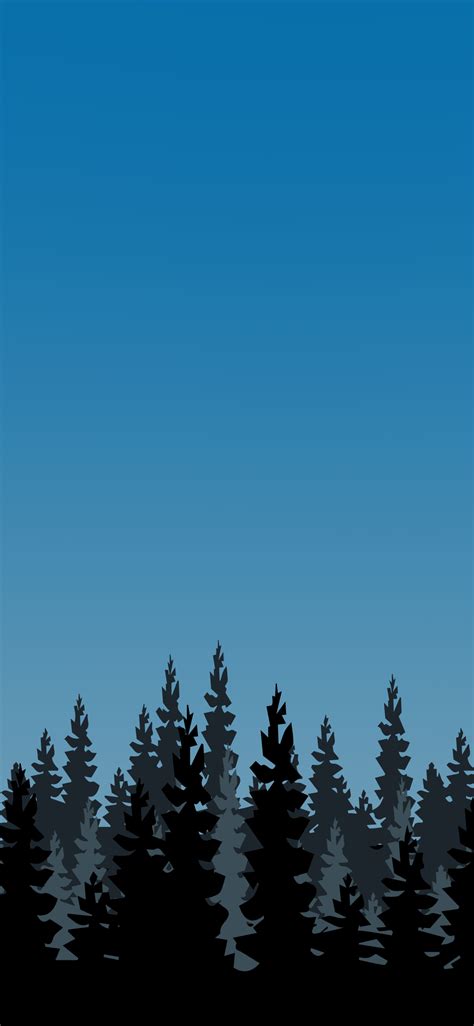 Forest Minimalist Wallpapers 4k Hd Backgrounds On Wallpaperbat