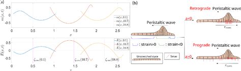 Figure 2 From Optimal Locomotion For Limbless Crawlers Semantic Scholar