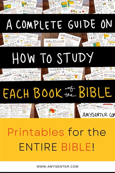 A Complete Beginners Study Guide For The Entire Bible