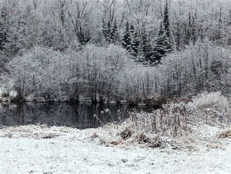 The First Light Snowfall Of The Season Stock Image Image Of Snow Storm 364169231