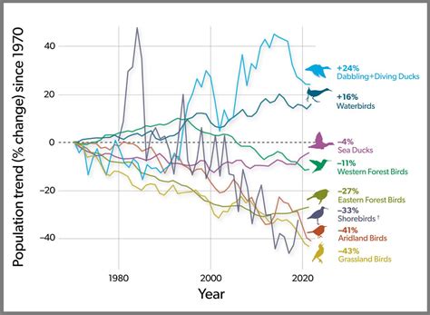 U S Bird Populations Continue Alarming Decline New Report Finds Birds Cornell Lab Of