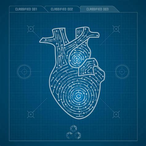 Vector Analysis Of The Heart