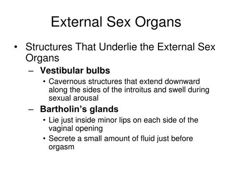 Ppt Female Anatomy And Physiology Powerpoint Presentation Free