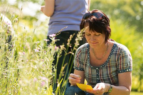 Practicing And Teaching Horticultural Therapy In Austria Horticultural