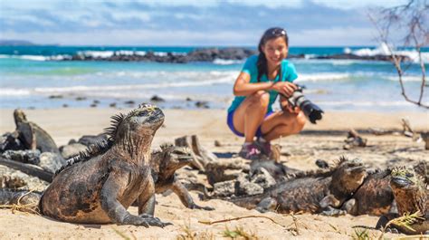 Heres Why The Galápagos Islands Are The Perfect Destination For Solo
