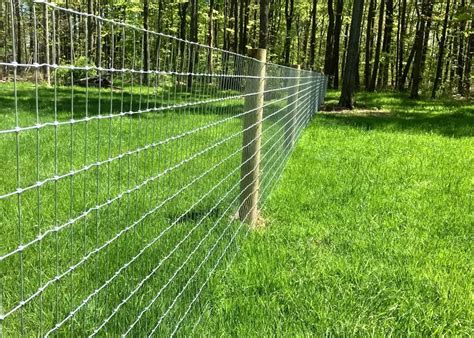 No Climb Fence Done Right Strong Subtle And Low Maintenance