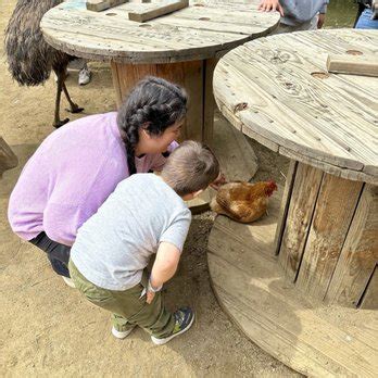 The Gentle Barn Updated June 2024 682 Photos And 347 Reviews 15825