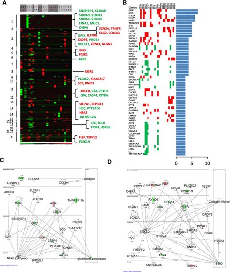 Large Scale Genomic Alterations In Pulmonary Nets Identify Recurrent
