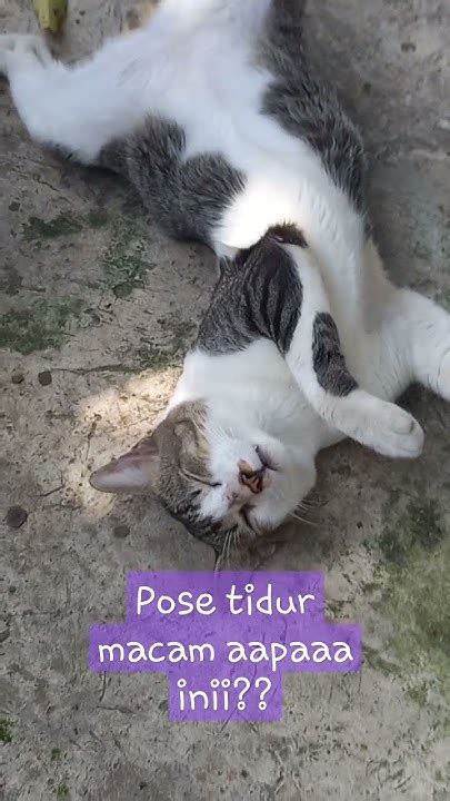 Pose Tidur Boki Youtube