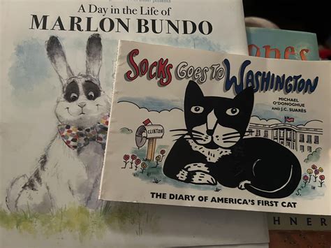 I Picked Up “a Day In The Life Of Marlon Bundo” To Go With My “socks Goes To Washington” R