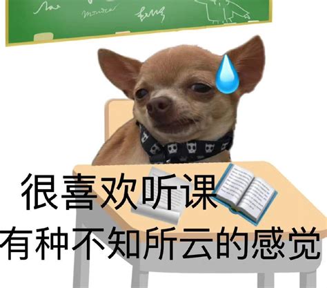 有没有使用频率很高的表情包 知乎