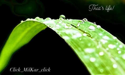 Milind Karve On Linkedin Our Life Is Like A Small Drop On The Time Horizon