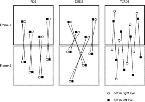 Schematic Illustration Of Three Stimuli Left Column Random Dot
