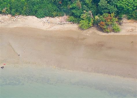 Protect Our Shoreline News Fudge Point Sullivan Geoduck Farm Water