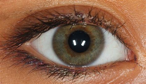 Eye Pattern Analysis Discover Your Color Season Eye Pattern Color